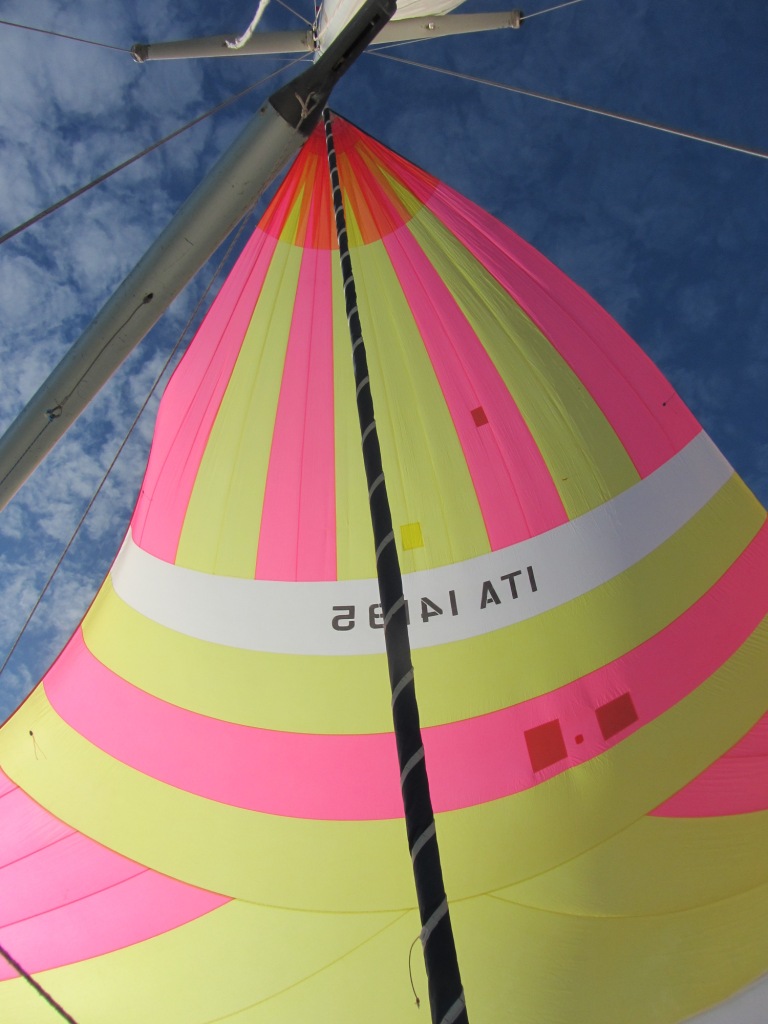 Comet285.it - Comet 860 - Ipotesi